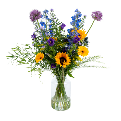 Boeket Hilversum - TOP-BOEKET Plukbloemen bestellen